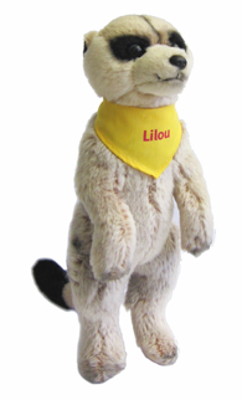 Ernst Klett Verlag - Tous ensemble 1 Ausgabe ab 2013 Produktdetails